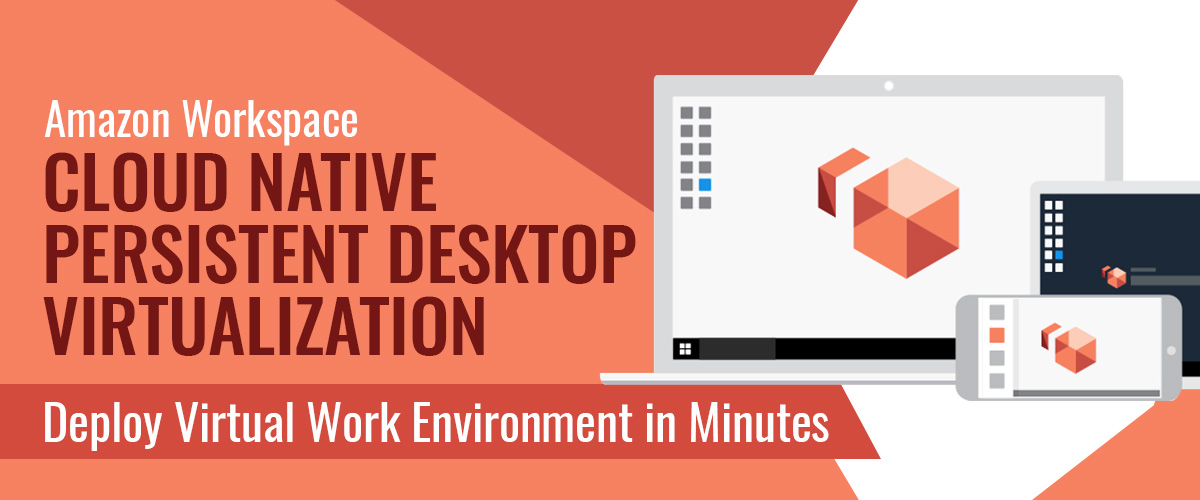 AWS Workspaces | Network Techlab